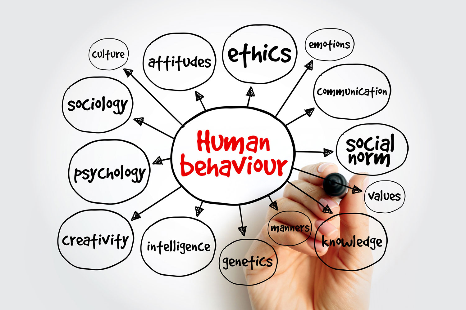 行動経済学を知れば、投資の損を回避できる!?｜RENOSY マガジン（リノシーマガジン）